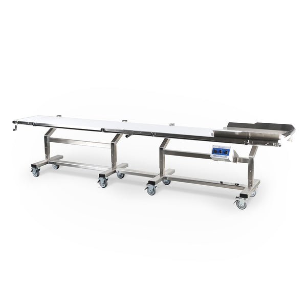 Mobius Outfeed Conveyor