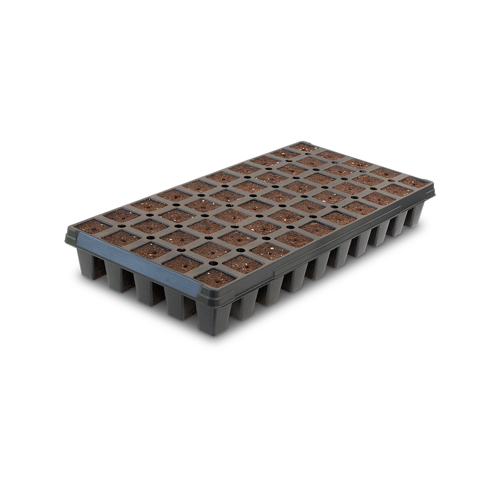 IHORT - 50 Deep Excel Plug Tray | BLACK LABEL