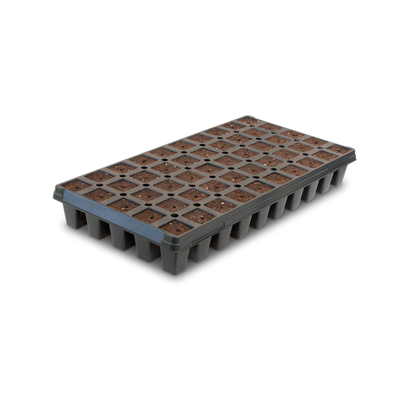 IHORT - 50 Deep Excel Plug Tray | BLACK LABEL