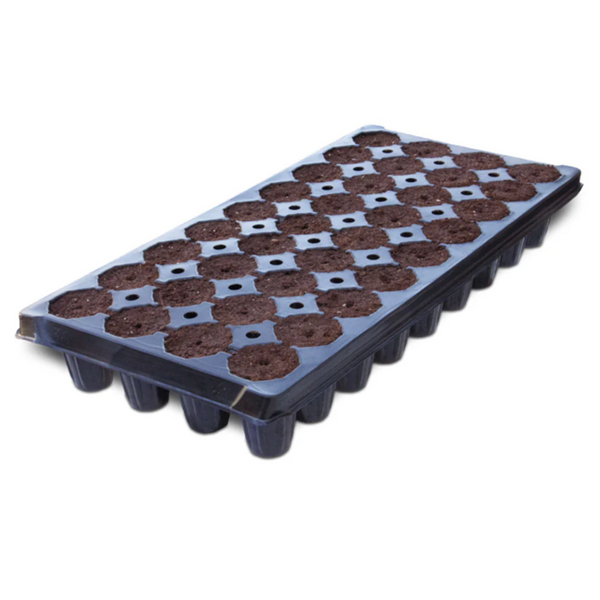 IHORT - 36 Deep Excel Plug Tray | BLACK LABEL